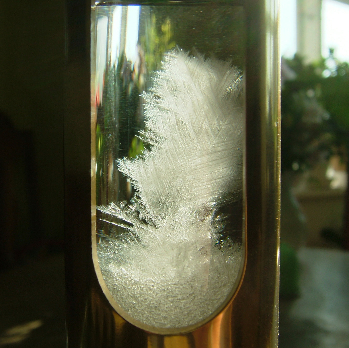 Delite Stormglass - The original from Delite from Denmark by Stig ...